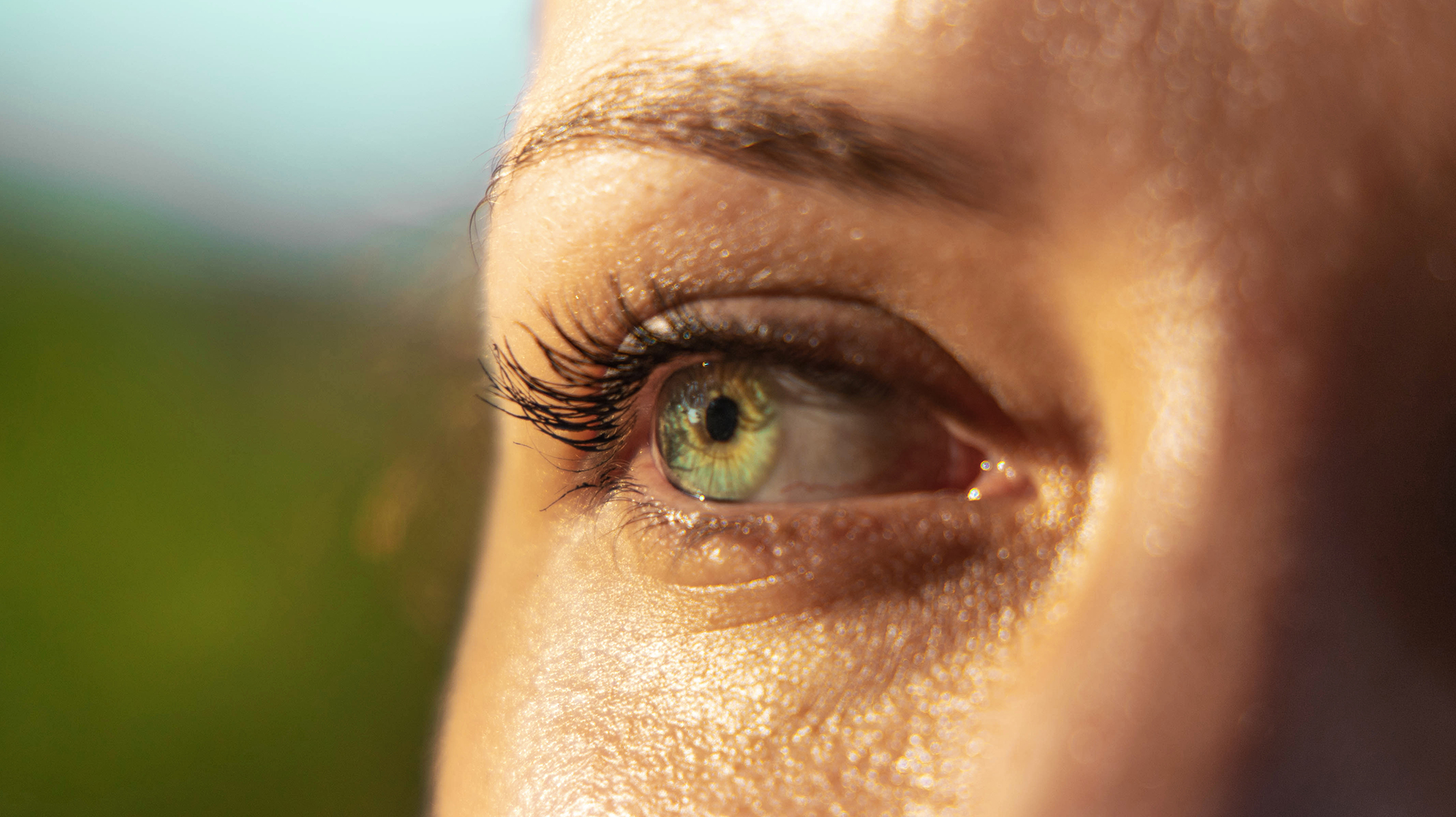 Ophthalmology - Eye Health Academy